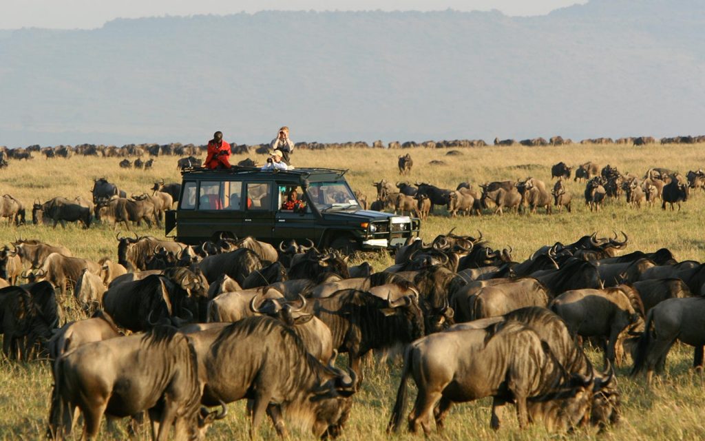 Masai Mara Game Reserve in Kenya: Great Migratin Safari